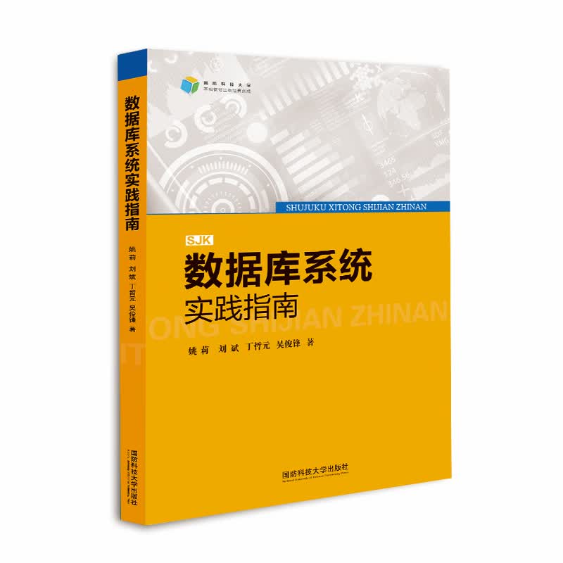 数据库系统实践指南 图书