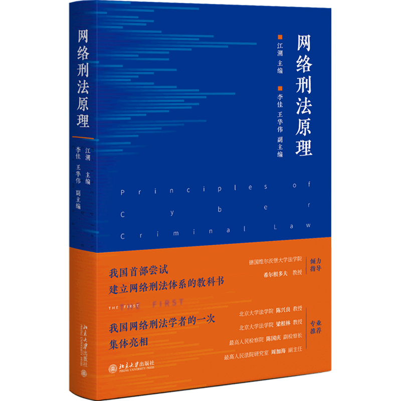 网络刑法原理