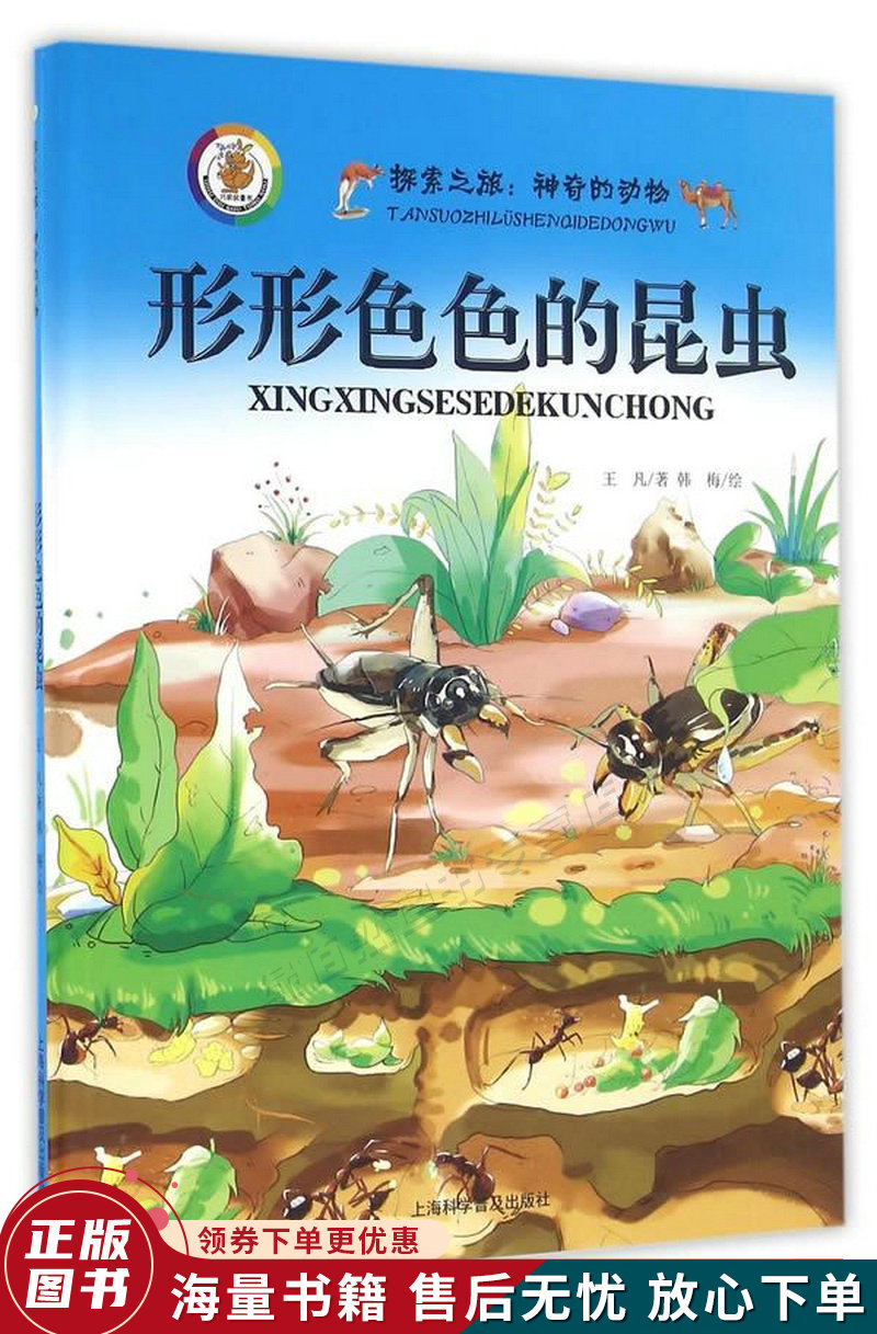 形形色色的昆虫