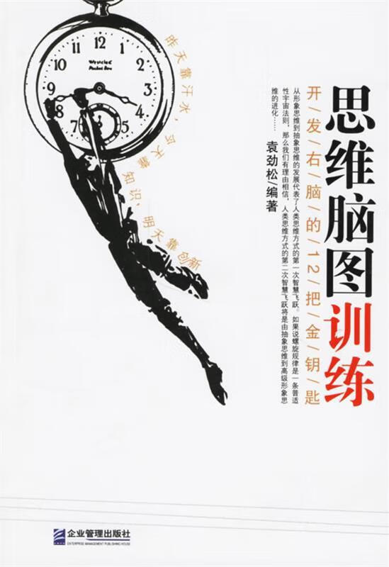 思维脑图训练 袁劲松 编著