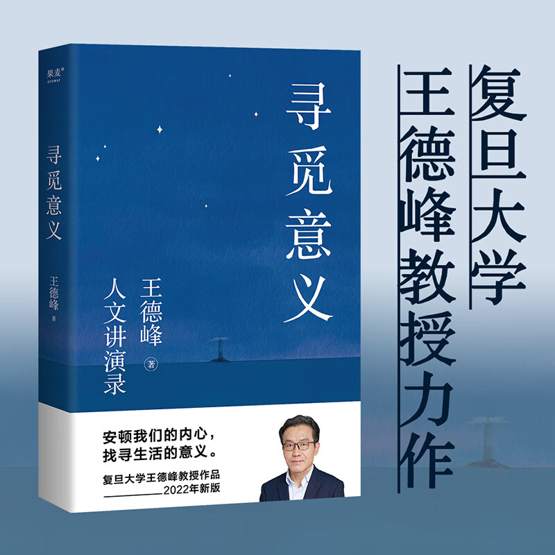 寻觅意义 图书