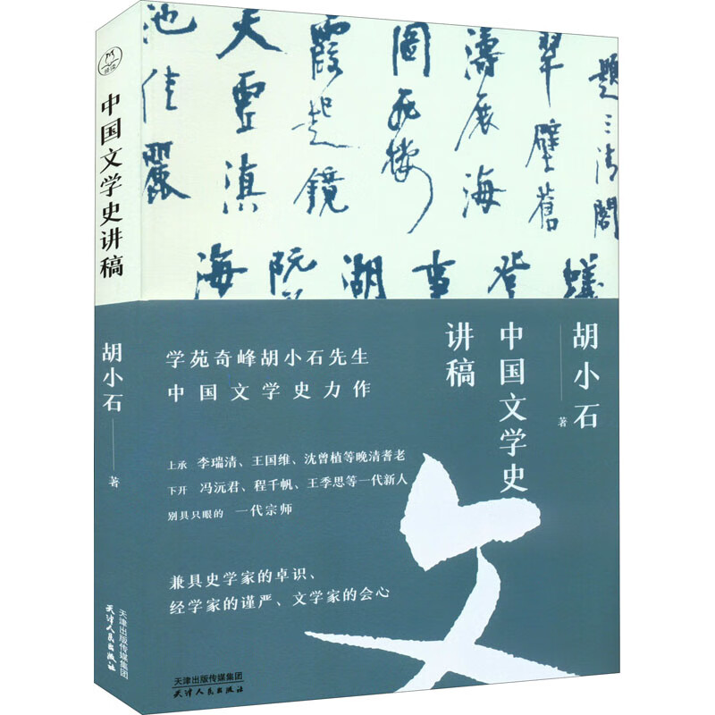 中国文学史讲稿 图书