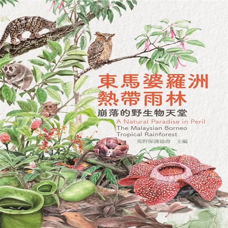 现货 东马婆罗洲热带雨林：崩落的野生物天堂 21 书林出版有限公司 进口原版