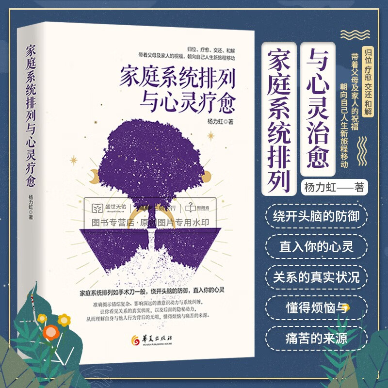家庭系统排列与心灵疗愈 杨力虹 著 家庭治疗心理学