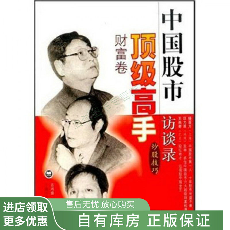 中国股市顶级高手访谈录财富卷