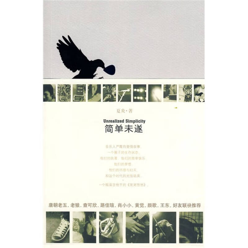 简单未遂 地下摇滚乐手的真实生活【好书】