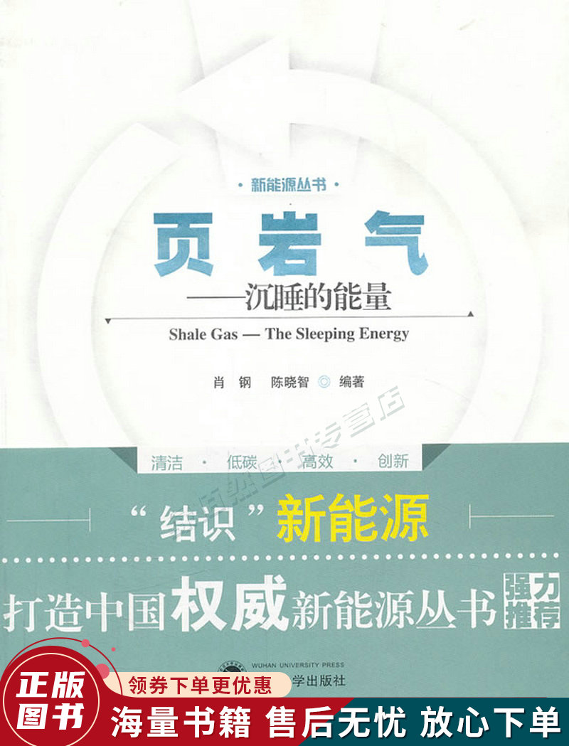 新能源丛书·页岩气：沉睡的能量