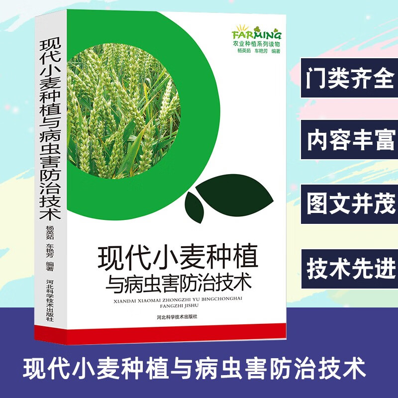 现代小麦种植与病虫害防治技术农业种植标准化生产优质品质选择播种管理施肥与创新技术冬小麦安全储存技术病