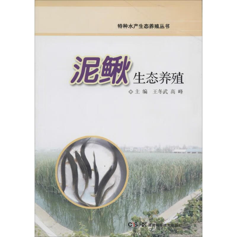 泥鳅生态养殖【，放心购买】