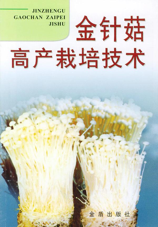 金针菇高产栽培技术