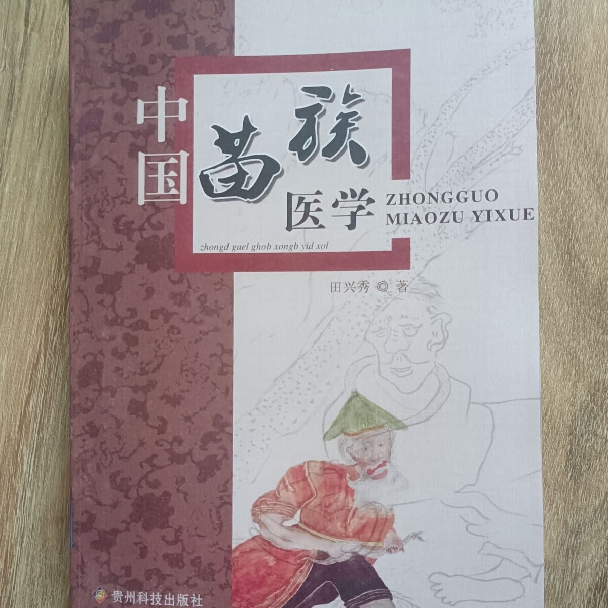 医药卫生少数 中国苗族 田兴秀编2013.08