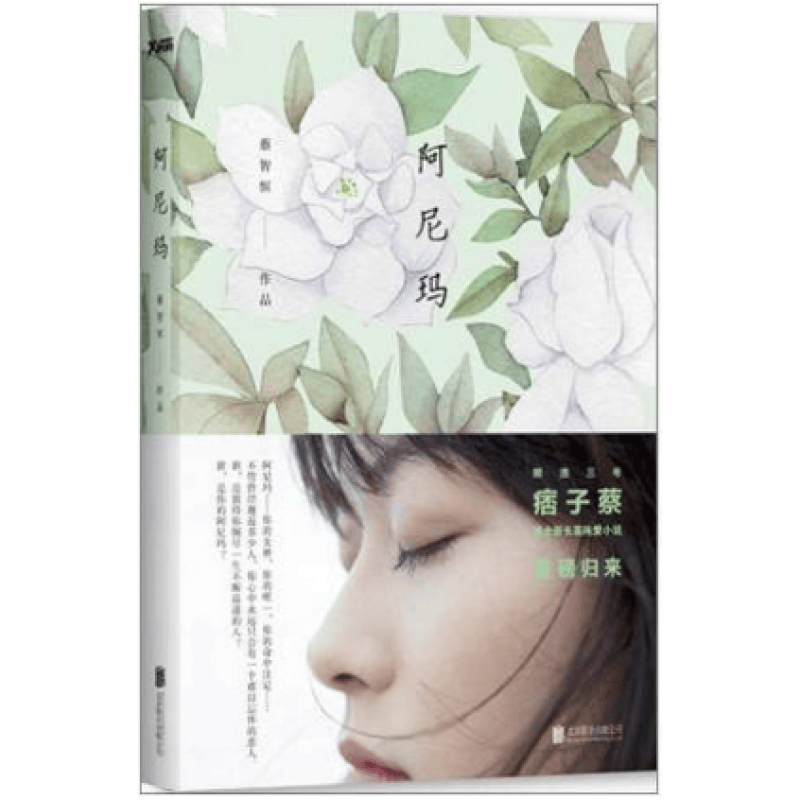 阿尼玛 痞子蔡 2014长篇纯爱小说 蔡智恒睽违三年青春言情小说