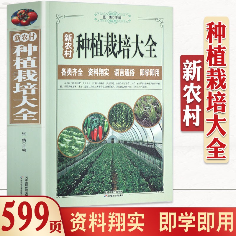 蔬菜种植栽培大全 新农村系列 新农村种植栽培大全大白菜马铃薯黄瓜辣椒茄子种植书 病虫害防治 塑料大棚