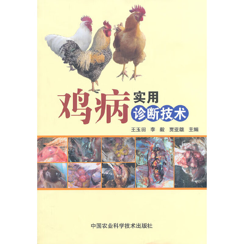 鸡病实用诊断技术