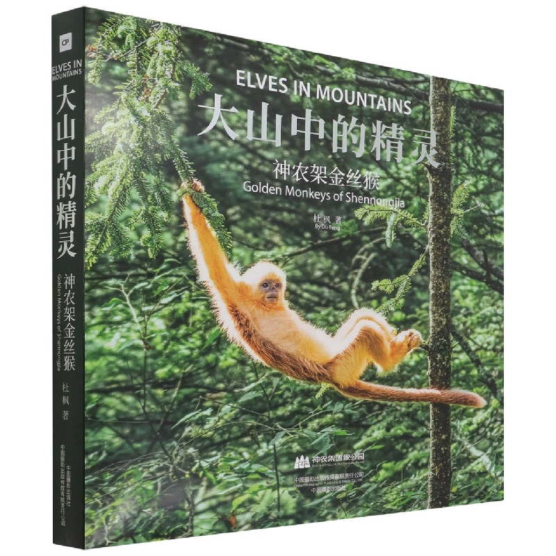 大山中的精灵：神农架金丝猴