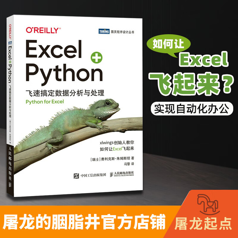 Excel+Python：飞速搞定数据分析与处理 分析与处理