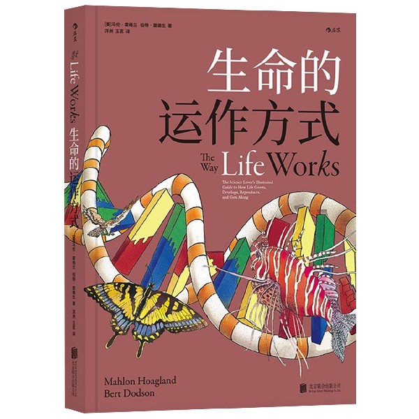 生命的运作方式