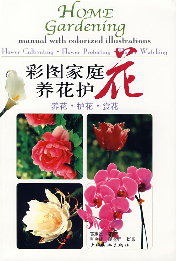 彩图家庭养花护花