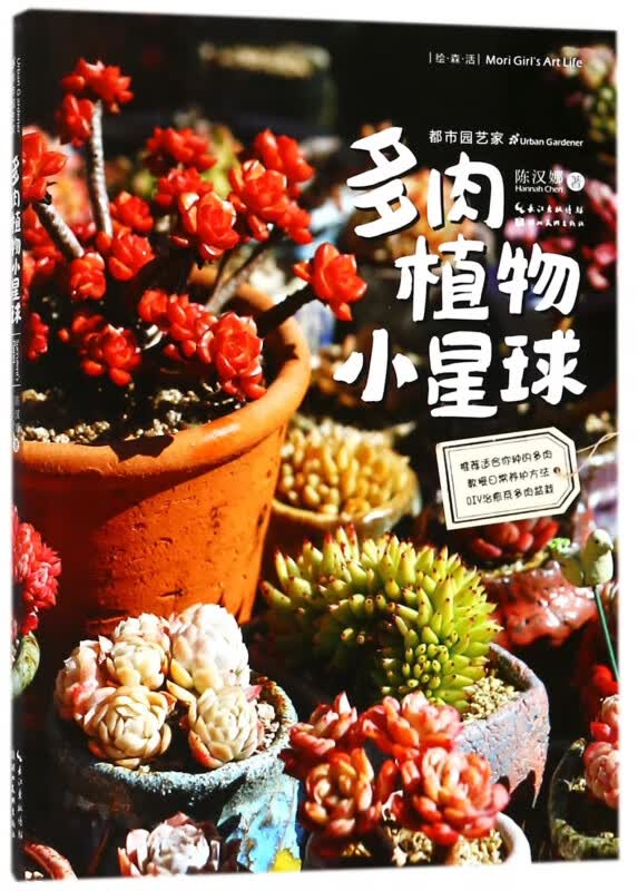 多肉植物小星球/都市园艺家
