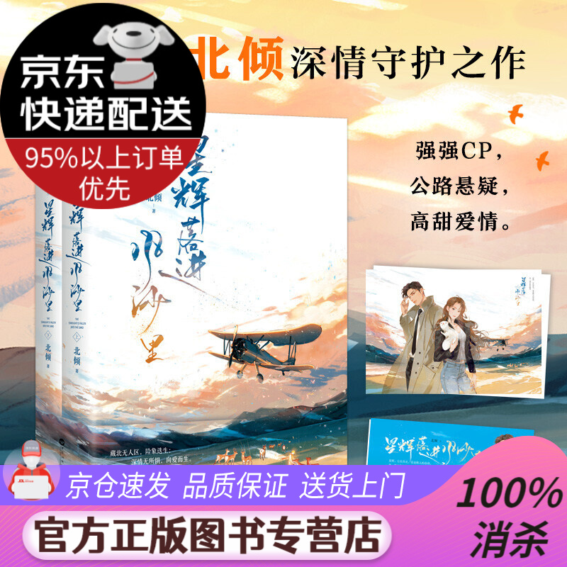 星辉落进风沙里