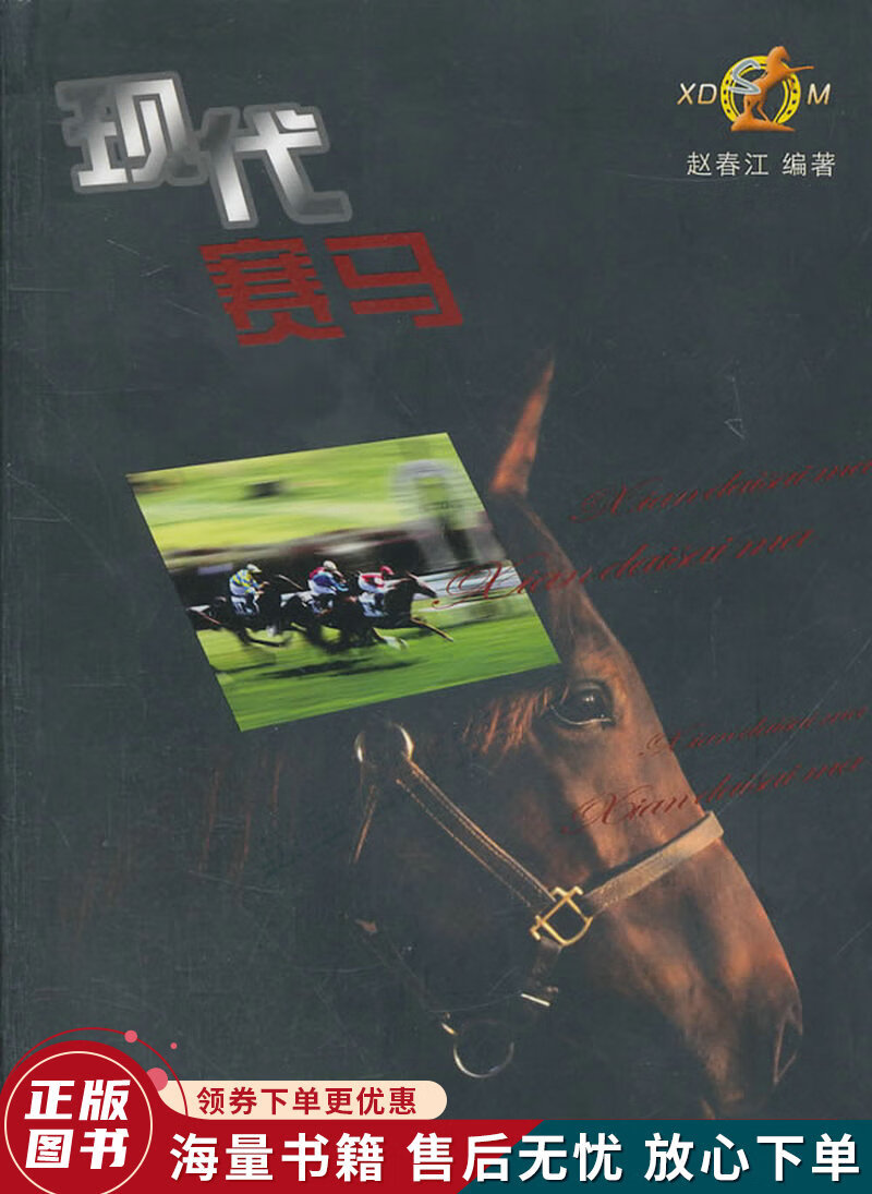 现代赛马