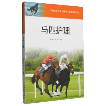 马匹护理