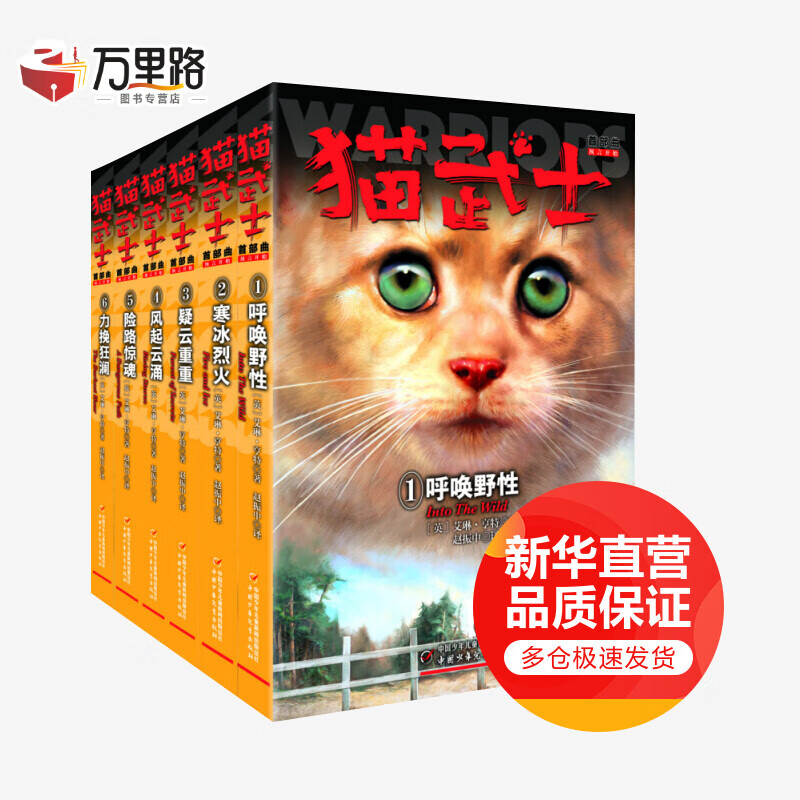 上肢关节镜手术