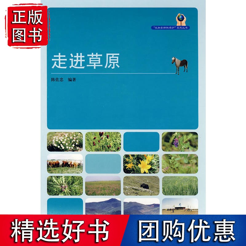 走进草原