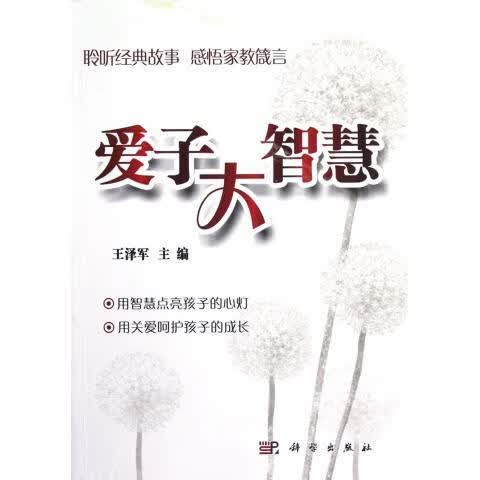 爱子大智慧 王泽军