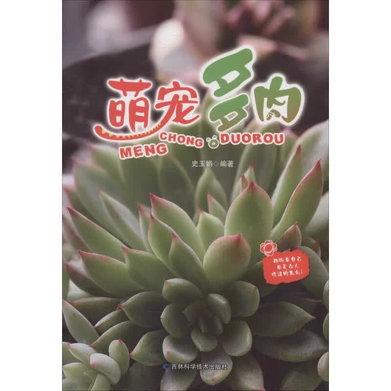 萌宠多肉【，放心购买】