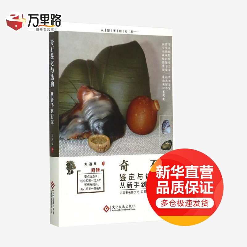 奇石鉴定与选购从新手到行家