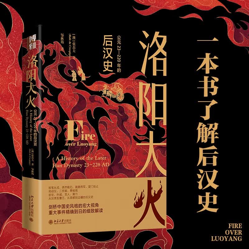 洛阳大火：公元23-220年的后汉史 剑桥中国史风格的宏大视角 重大历史事件 到日的细致解读