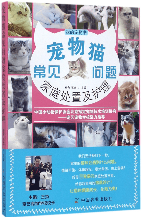 宠物猫常见问题家庭处置及护理(我的宠物书)