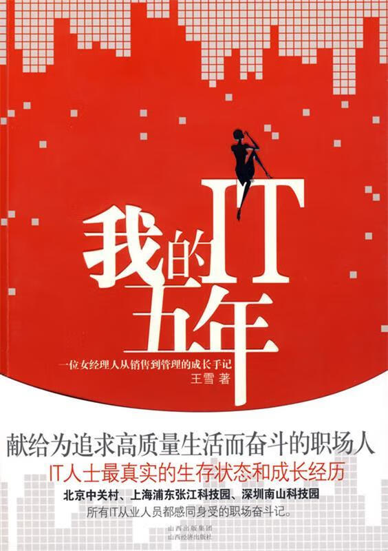 我的IT五年 王雪 著 山西经济出版社