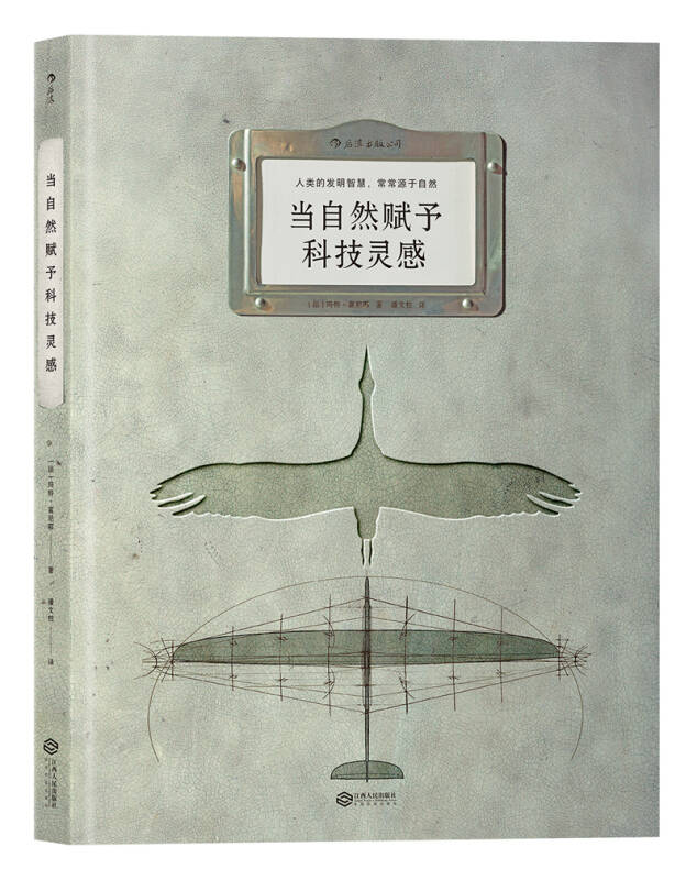 当自然赋予科技灵感