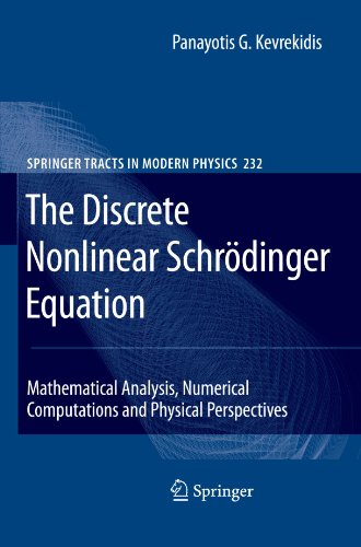 The Discrete Nonlinear Schroedinger Equation