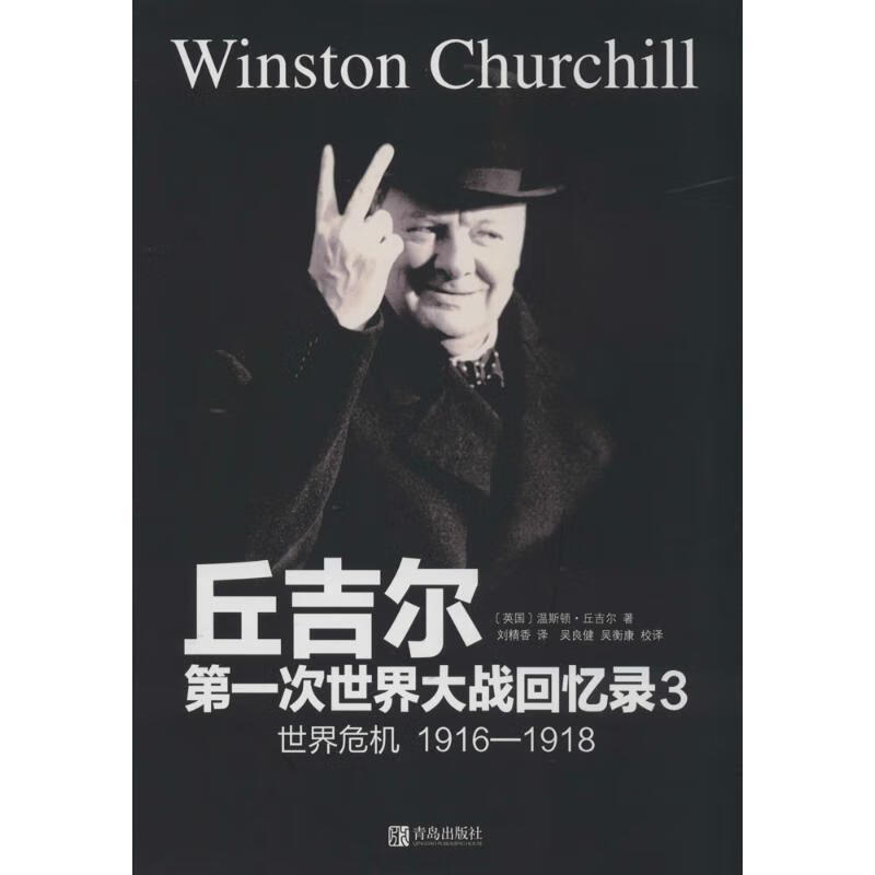第一次世界大战回忆录3:世界危机