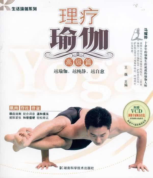 高级篇 王巍 湖南科技出版社