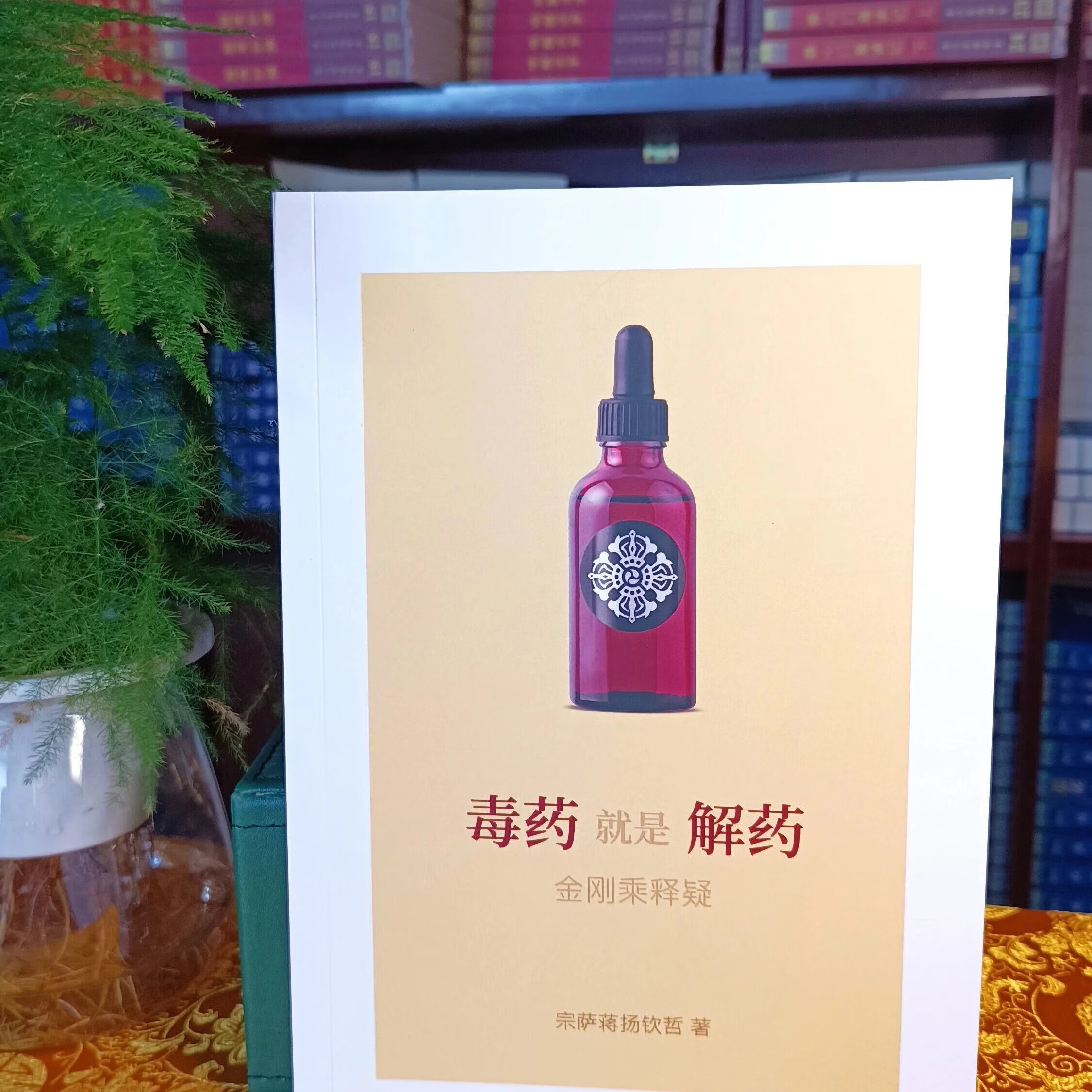 毒药就是解药 宗萨蒋扬钦哲仁波切 首谈金刚乘 稀有题材