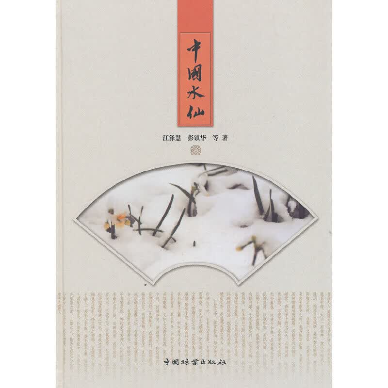 中国水仙