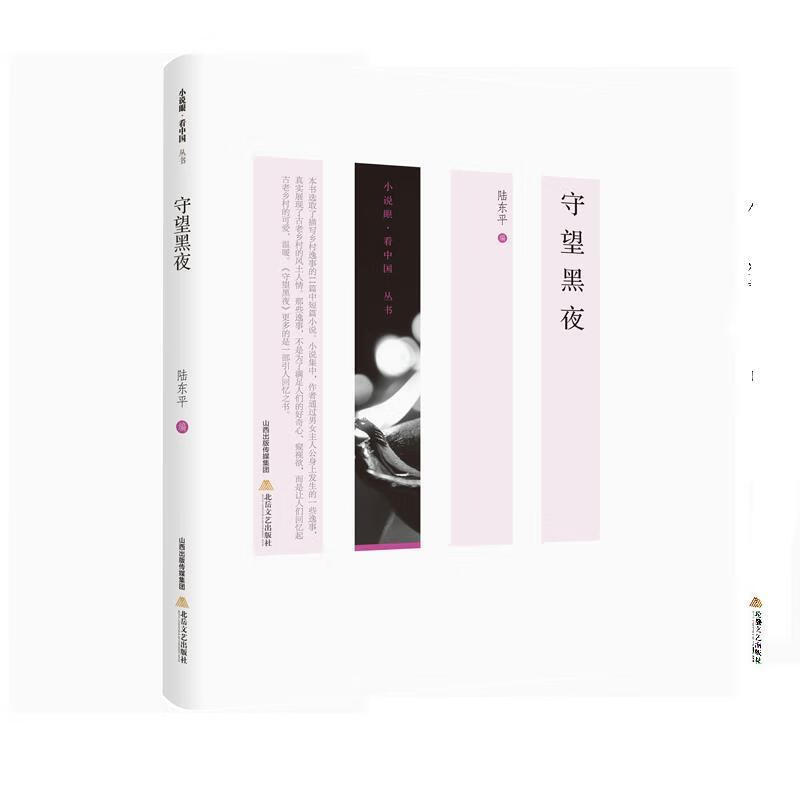 守望黑夜 陆东平 9787537854580 北岳文艺出版社