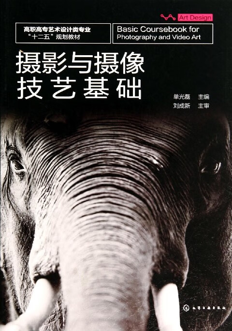 摄影与摄像技艺基础(高职高专艺术设计类专业十二五规划教材)