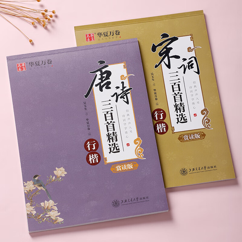 吴玉生行楷字帖唐诗三百首成年男练字硬笔书法唐诗宋词成人临摹练 行楷唐诗+宋词两本装