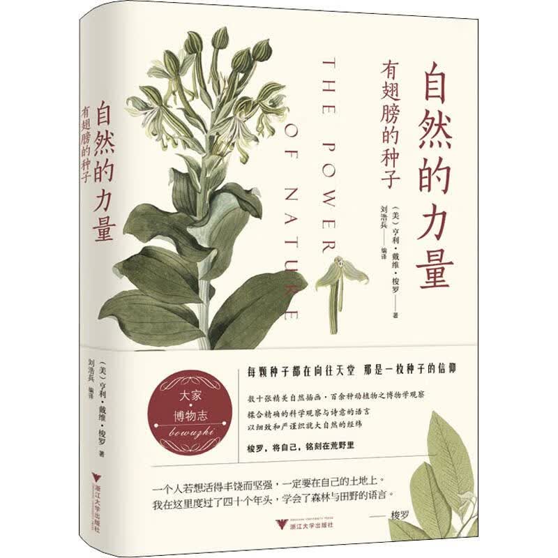 自然的力量 有翅膀的种子