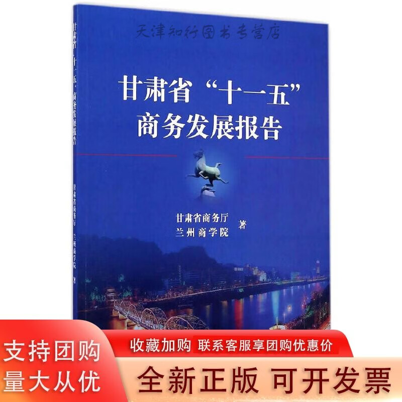 甘肃省 十一五 商务发展报告