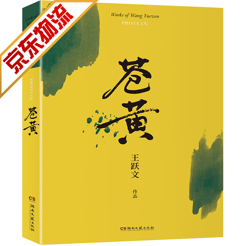 【系列自选】官场小说 苍黄 王跃文 著