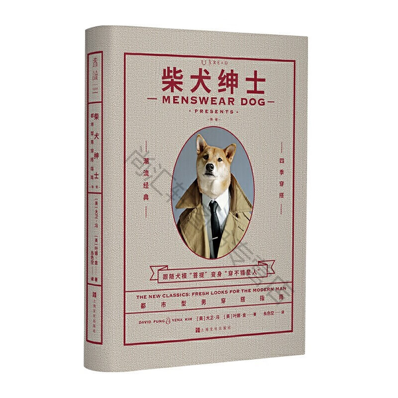 B 柴犬绅士-*
