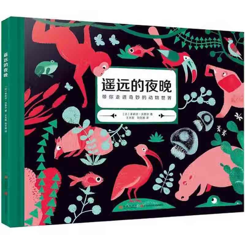 遥远的夜晚【好书】