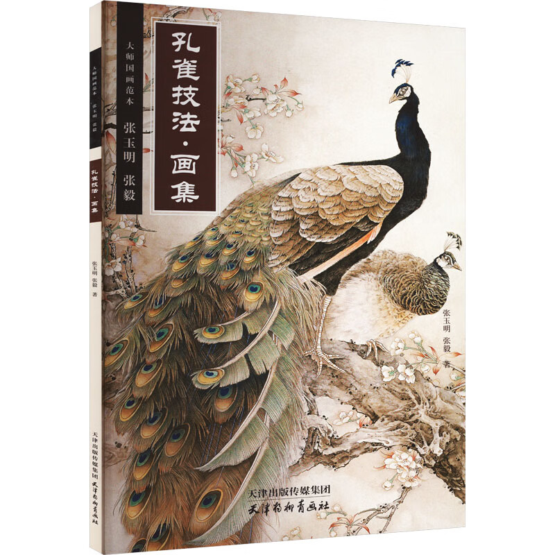 孔雀技法·画集 图书