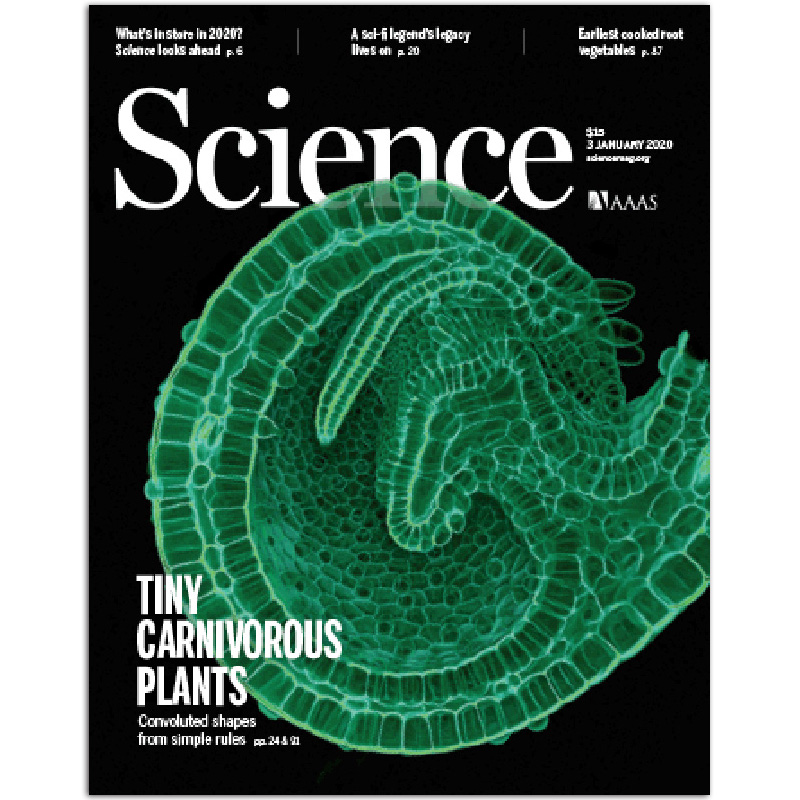 【单期可选】Science 美国科学杂志 2019年\/2020年美国自然科学科普英文杂志 #6473 2020年1月3日刊